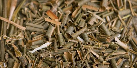 About Willow Bark Extract—Skin Care Benefits, Tips & Products – Tiege ...